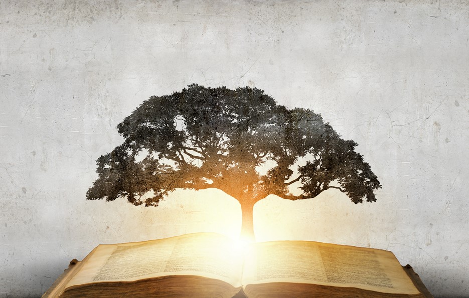 Sagesse pratique - Paroisse de Jussy